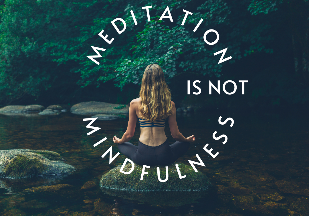 Meditation is NOT Mindfulness? - Manna Abraham
